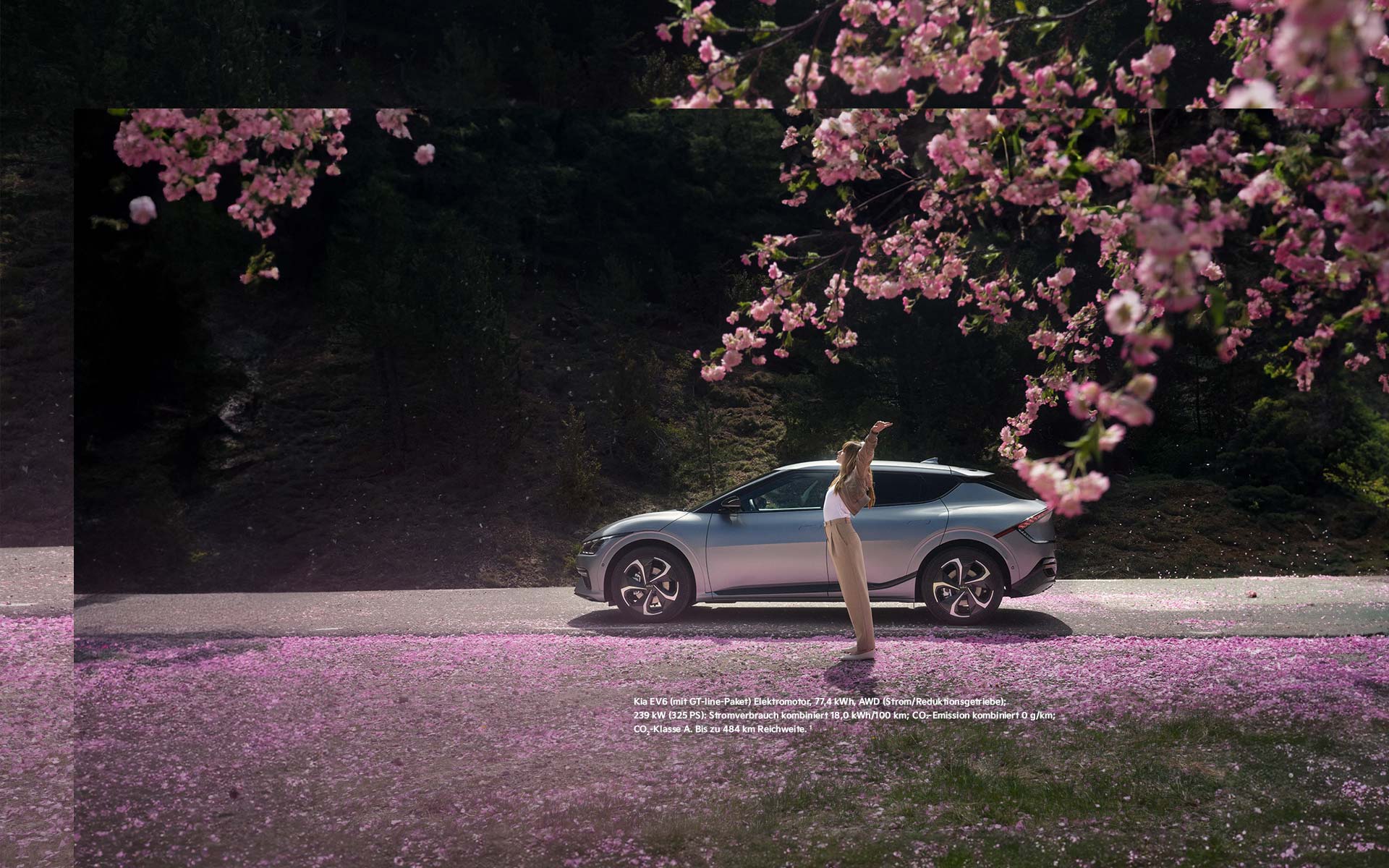 Startseite | Kia Cecala GmbH & Co. KG Oberhausen